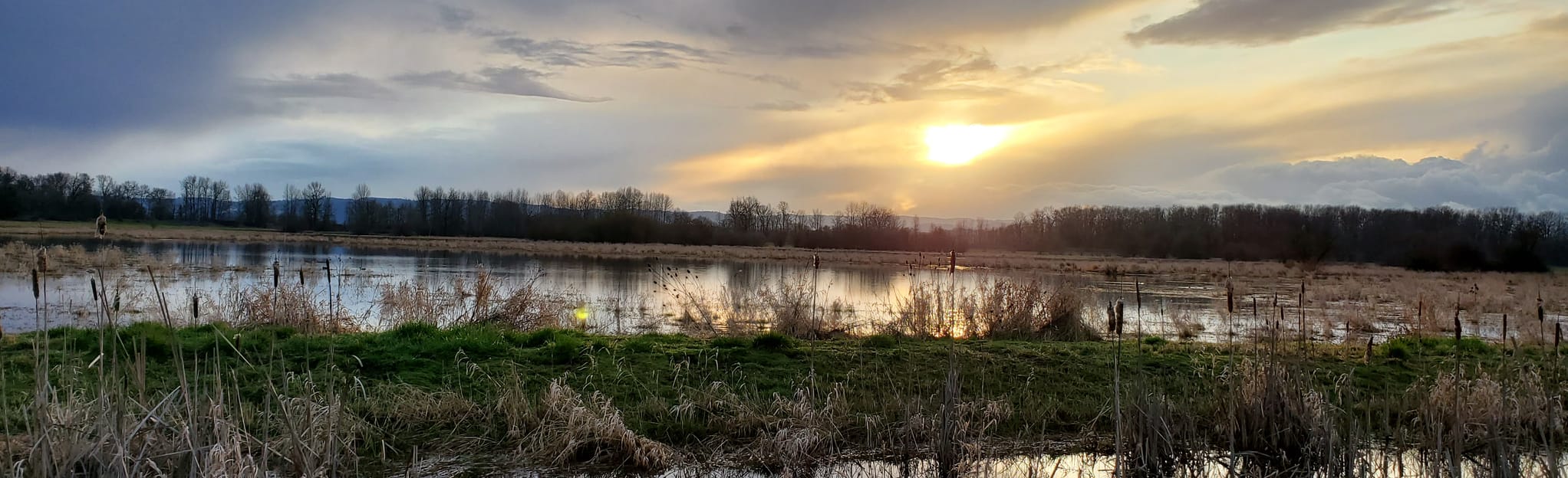 Ridgefield Auto Tour Route: 44 Reviews, Map - Washington | AllTrails