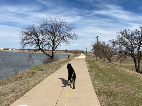 Best Hikes and Trails in Oscar Park and Gordon Lake | AllTrails
