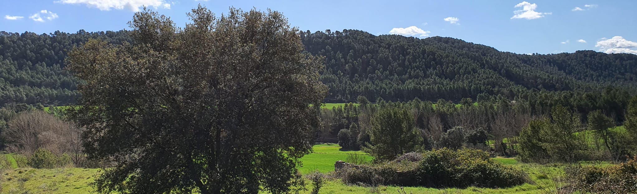 Riera Gavarresa: Avinyó - Castell d'Agiló, Barcelona, Spain - 34 ...