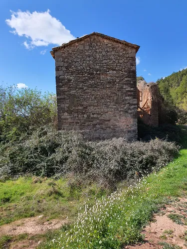 2023 Best Forest Trails in Avinyó | AllTrails