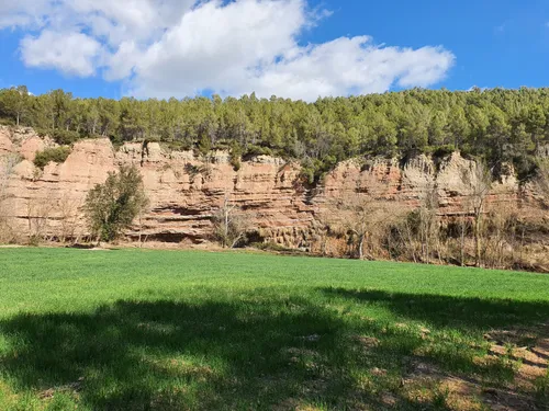 2023 Best Forest Trails in Avinyó | AllTrails