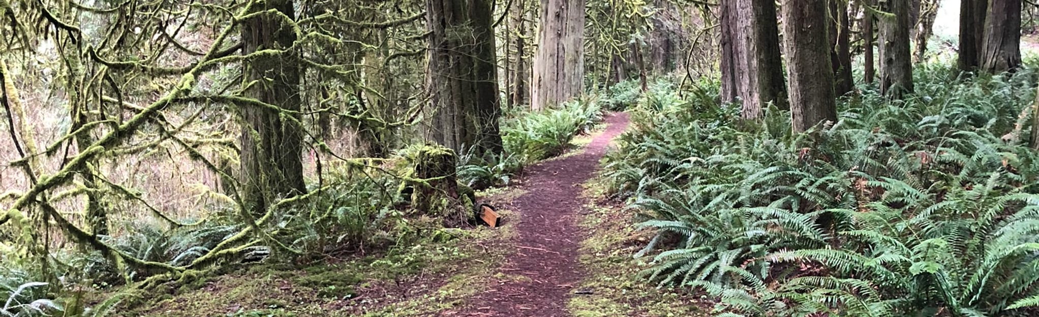 Hopkins Demonstration Forest Outer Loop, Oregon - 671 Reviews, Map ...