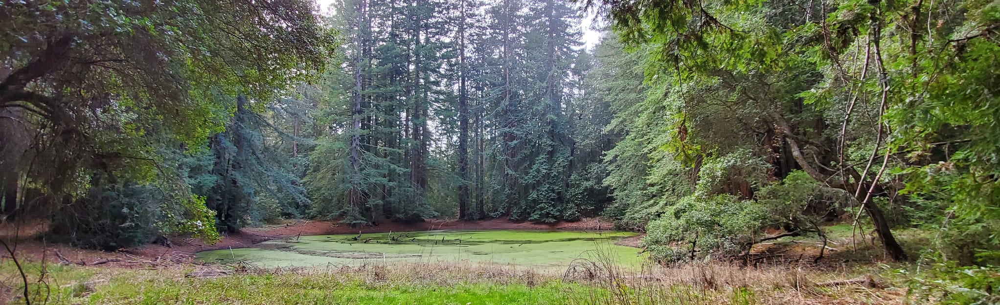 Buzzard Lagoon: 28 Reviews, Map - California | AllTrails