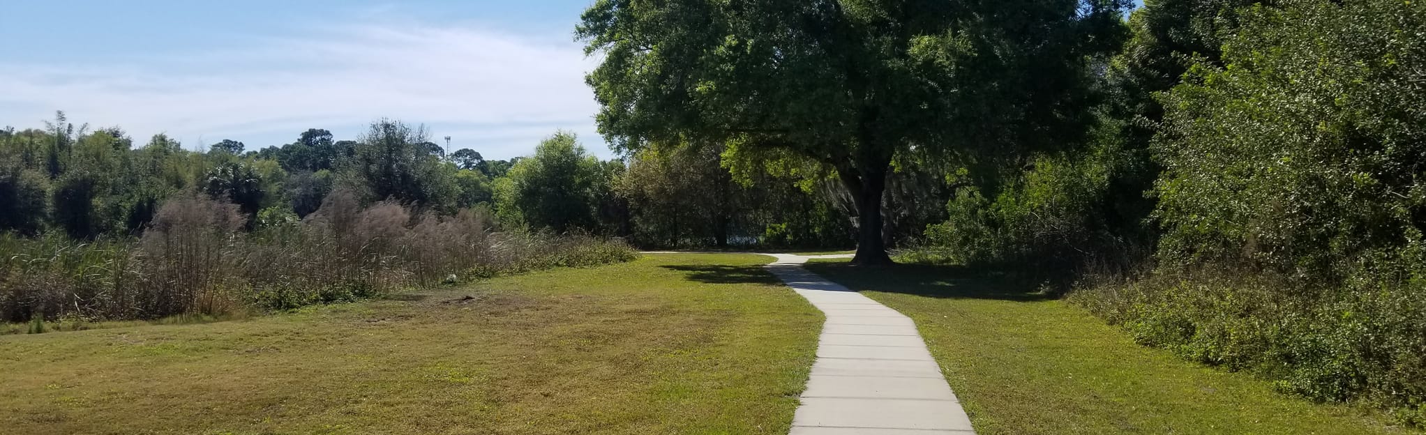 Beaudette Park Loop, Florida - 14 Reviews, Map | AllTrails