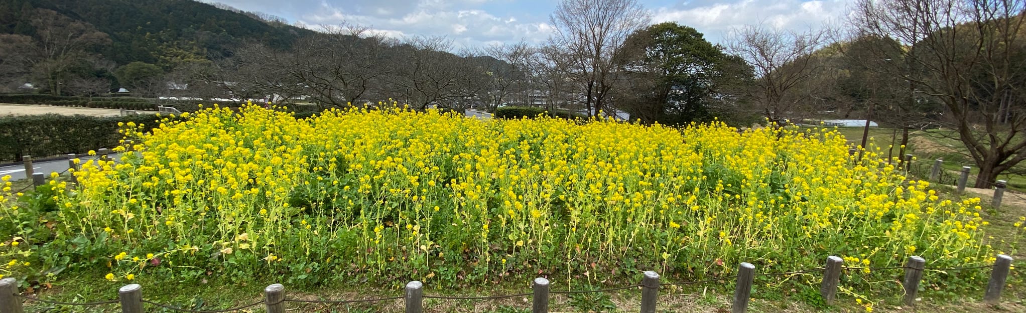 Asuka Village Loop, Nara, Japan - 3 Reviews, Map | AllTrails