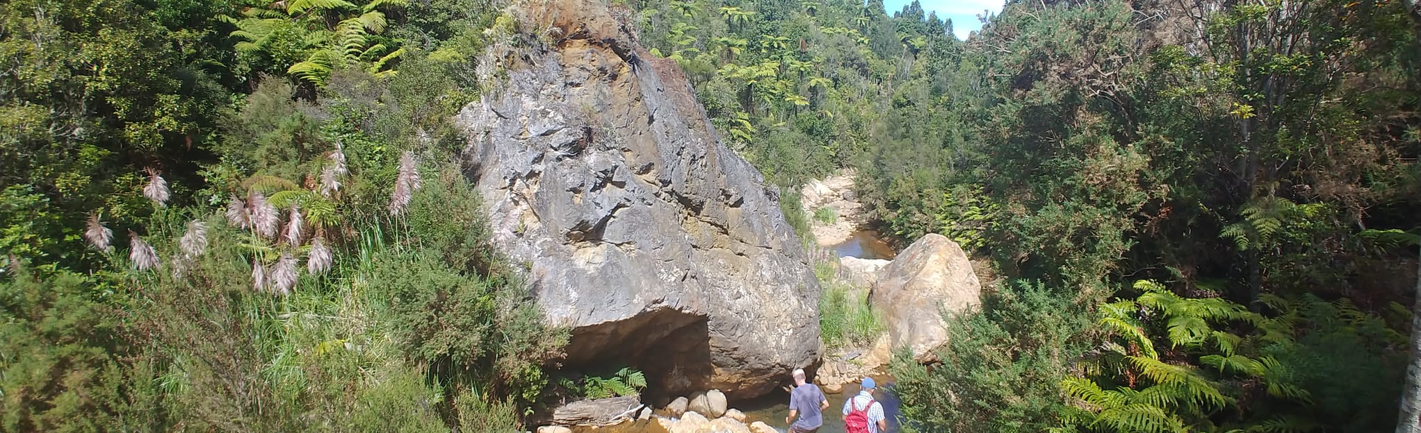 Tararu Track to Crosbies Hut [CLOSED], Waikato, New Zealand - 3 Reviews ...