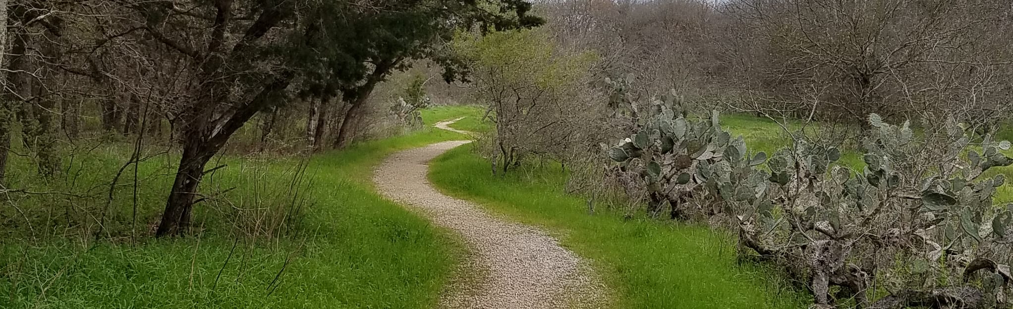 Tex's Trail, Texas - 49 Reviews, Map | AllTrails