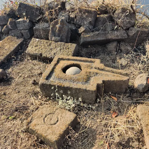 2023 Best 10 Long Trails in Koyna Wildlife Sanctuary | AllTrails