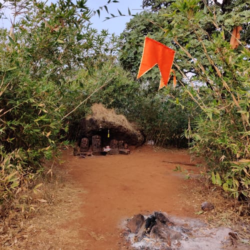 2023 Best 10 River Trails in Koyna Wildlife Sanctuary | AllTrails