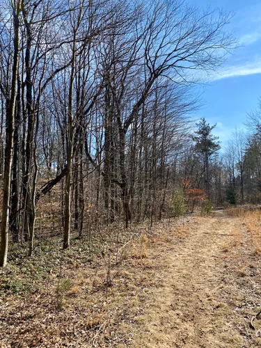 Best Hikes and Trails in Port Sheldon Natural Area | AllTrails