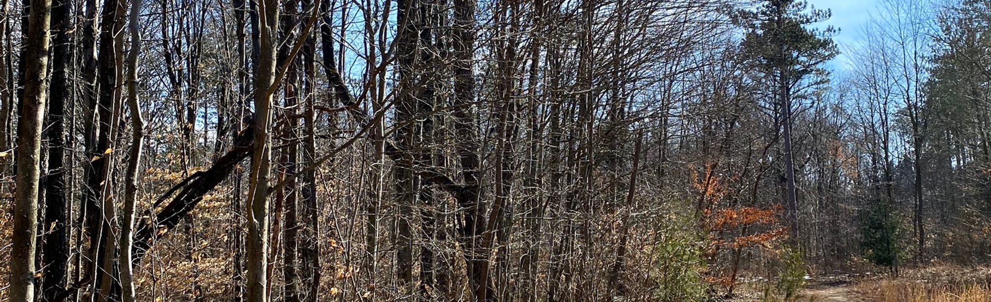 Port Sheldon Natural Area: South Loop: 31 Reviews, Map - Michigan ...