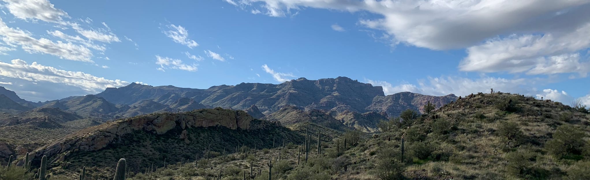 First Water Creek and Weaver Needle Trail, Arizona - 131 Reviews, Map ...