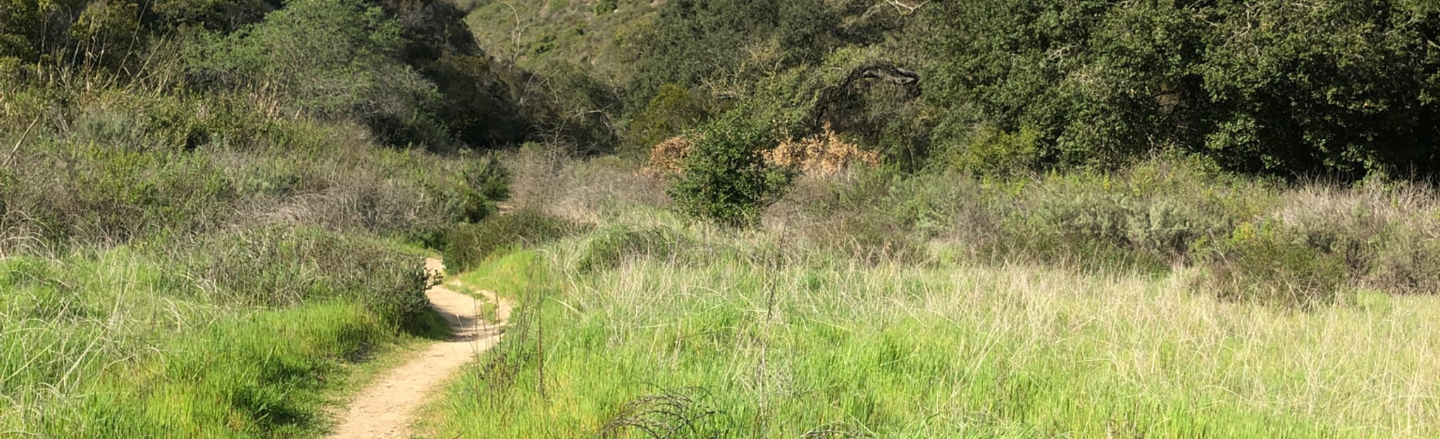 Serrano Ridge and Laurel Canyon Trail | Map, Guide - California | AllTrails