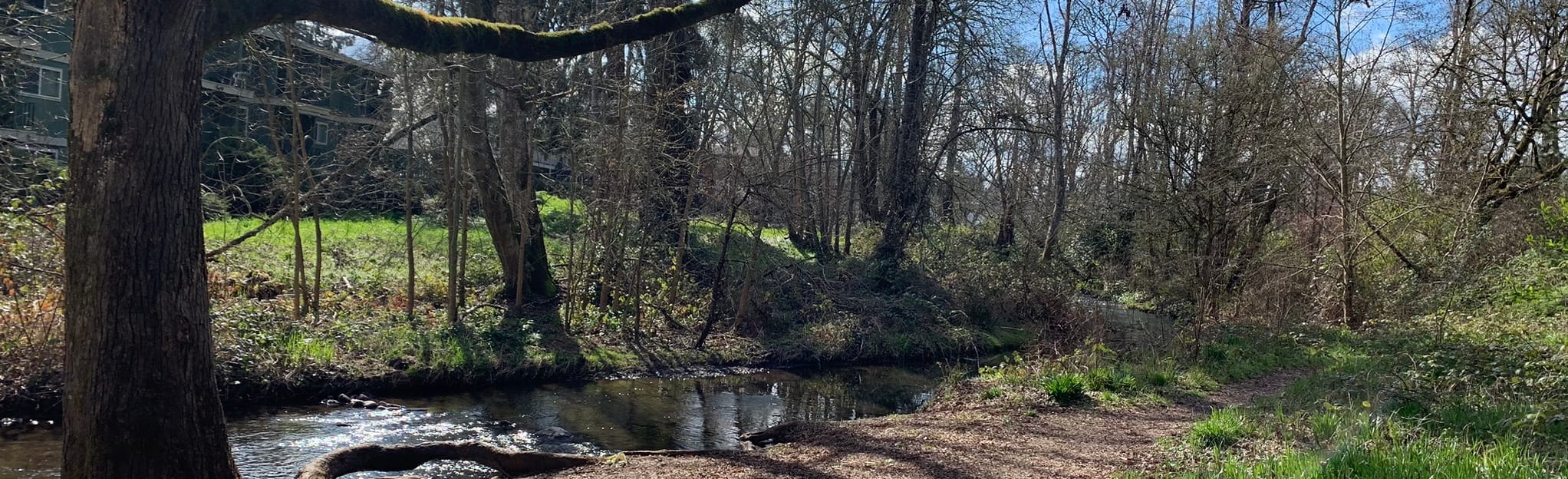 Bush Park Full Loop, Oregon - 321 Reviews, Map | AllTrails