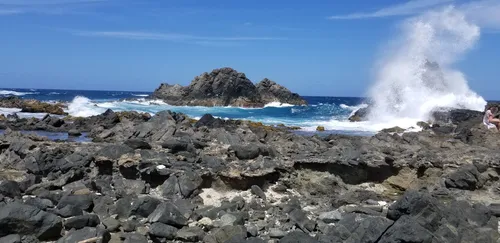 10 Best Trails and Hikes in Aruba | AllTrails