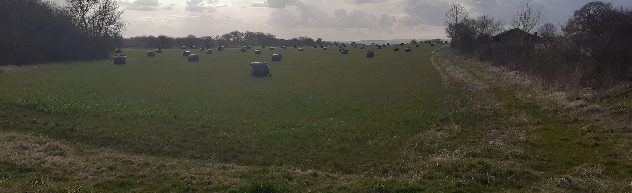 Todwick Trail: 32 Reviews, Map - South Yorkshire, England | AllTrails