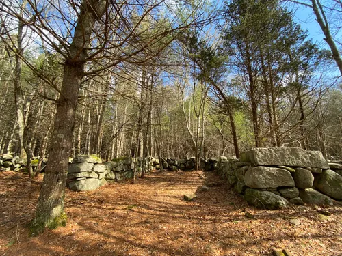 10 Best Hikes and Trails in Freetown Fall River State Forest | AllTrails