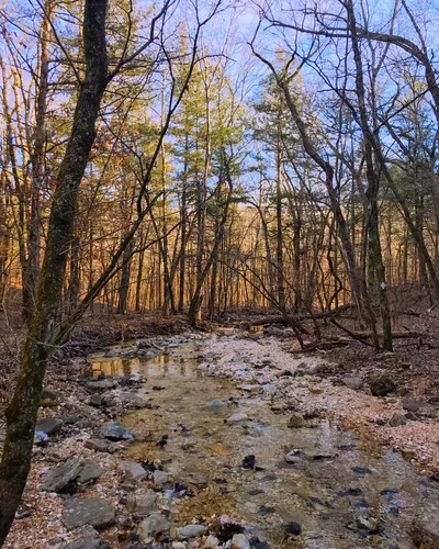 2023 Best Wild Flowers Trails in Shell Knob | AllTrails