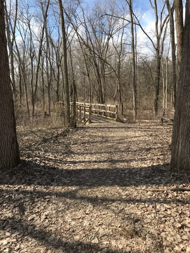 Best Hikes and Trails in Meridian-Baseline State Park | AllTrails