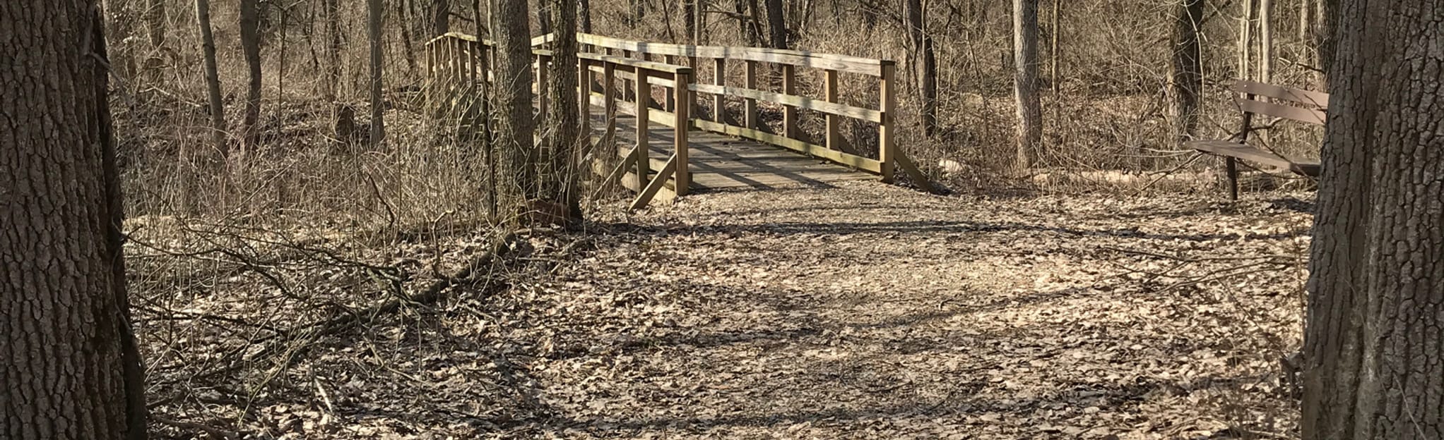 Meridian-Baseline State Park, Michigan - 96 Reviews, Map | AllTrails