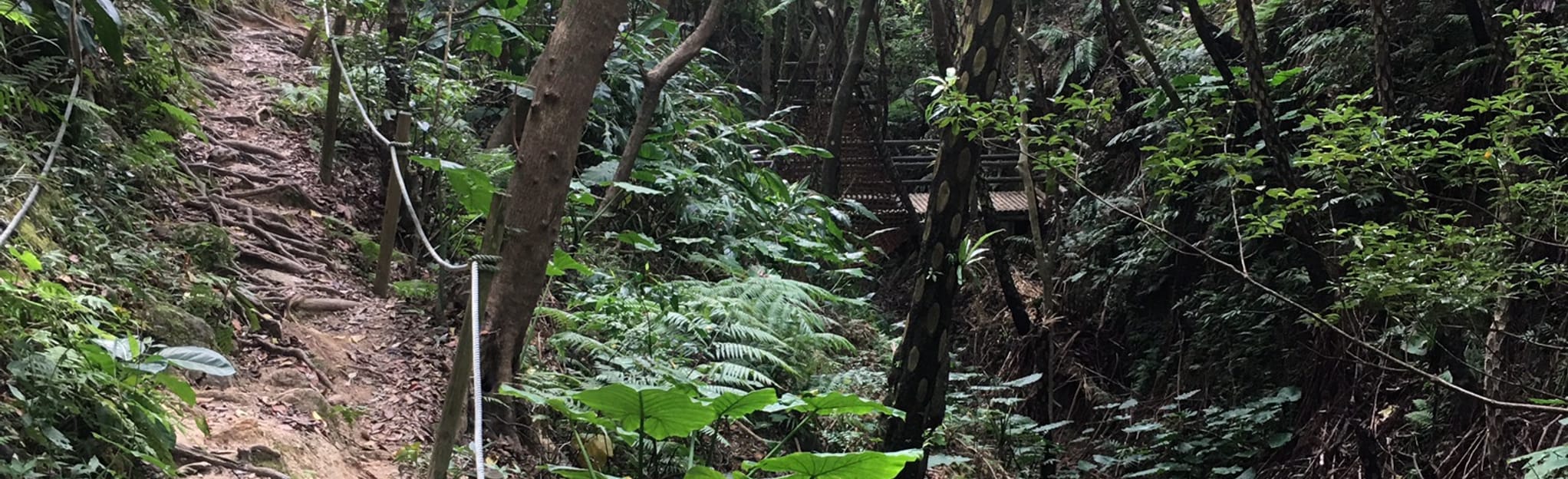 Ishikawa Citizen's Forest - Mount Ishikawa, Okinawa, Japan - 36 Reviews ...