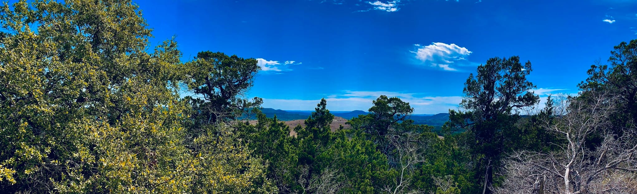 Shin Oak Trail Loop, Texas - 116 Reviews, Map | AllTrails