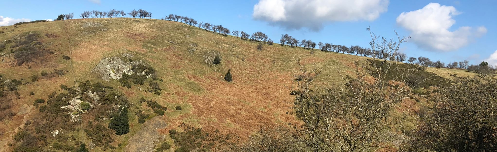 Stapeley Circular, Powys, Wales - 19 Reviews, Map | AllTrails