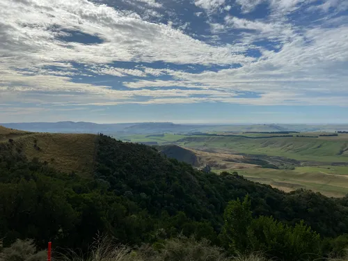Best Hikes and Trails in Mount Nimrod Scenic Reserve | AllTrails