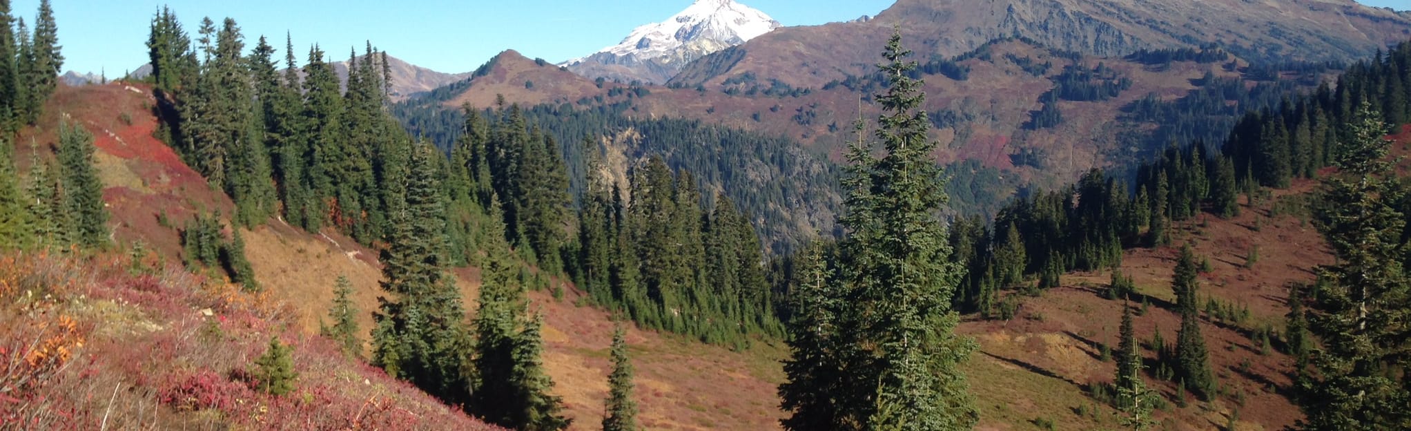 Cady Ridge Trail, Washington - 29 Reviews, Map | AllTrails