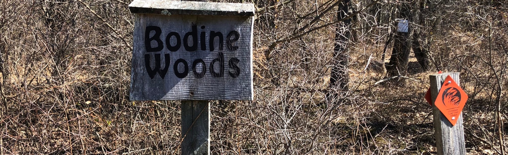 Quakertown Preserve Loop, New Jersey - 14 Reviews, Map | AllTrails