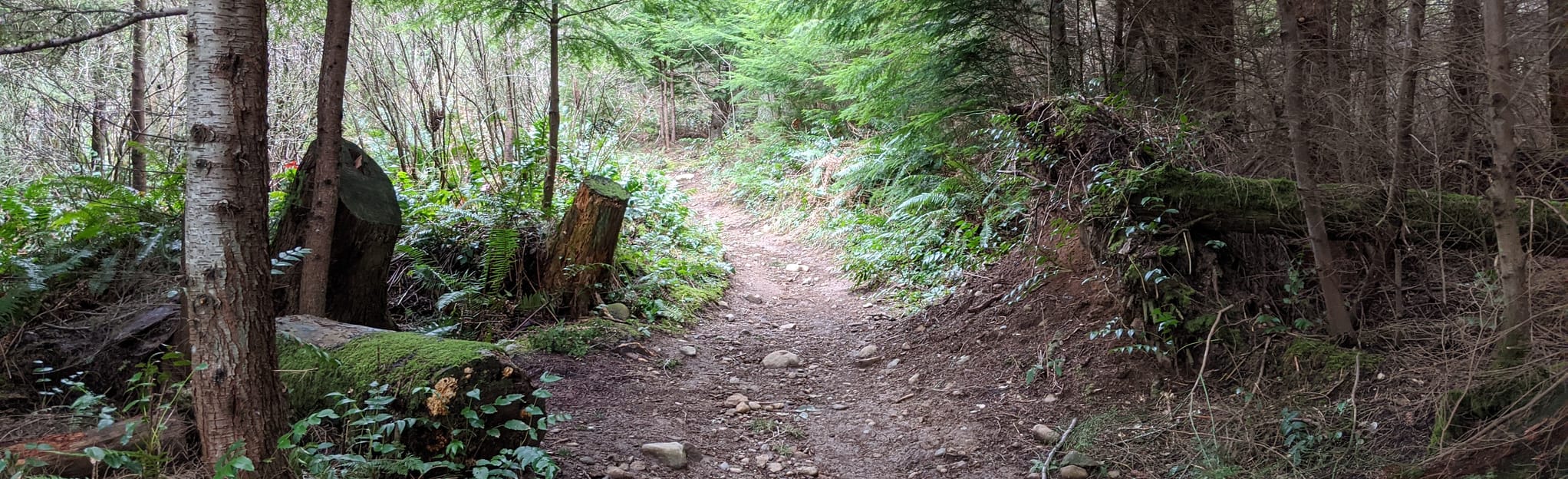 Exit 27 and Gem State Loop - Washington | AllTrails