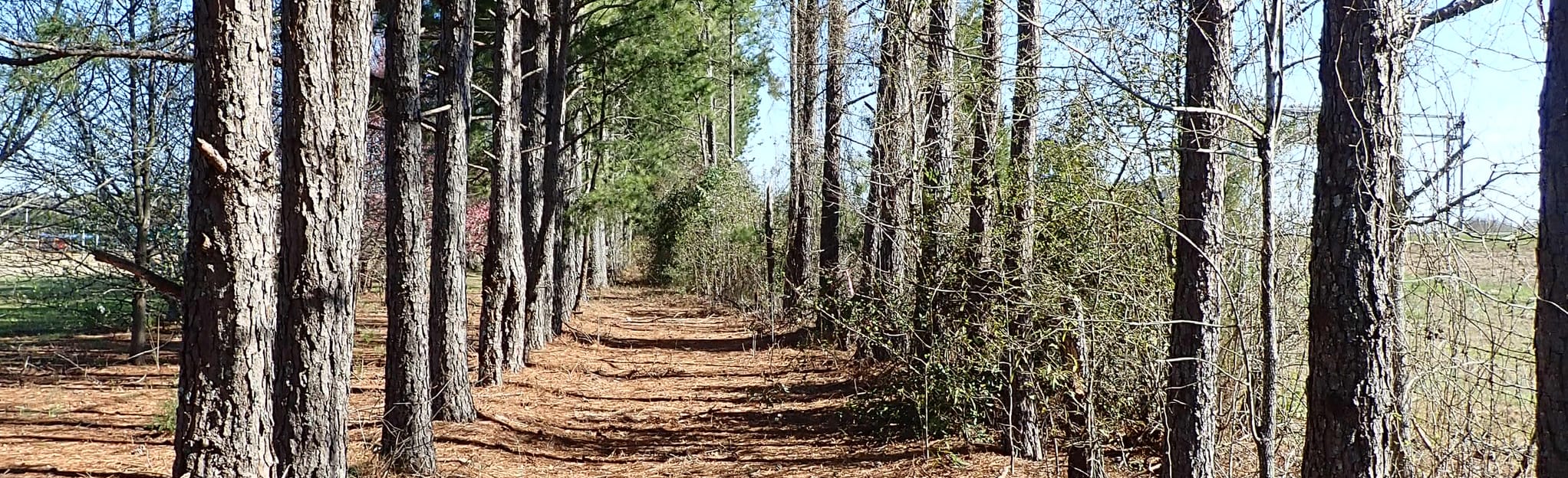 Monroe County Recreation Department Loop: 9 Reviews, Map - Georgia ...