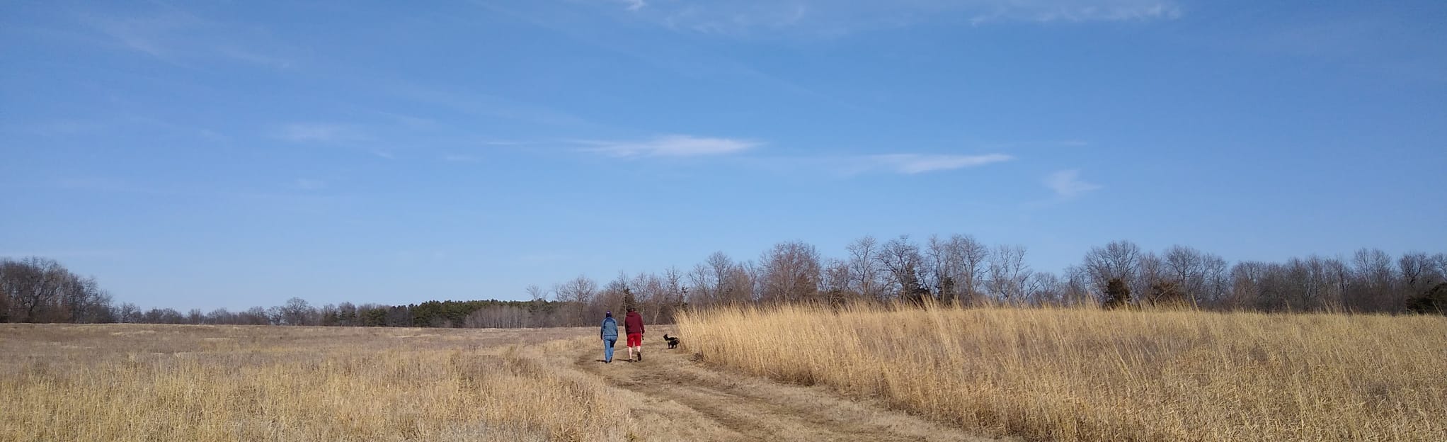 Matsell Bridge Short Loop: 24 Reviews, Map - Iowa | AllTrails