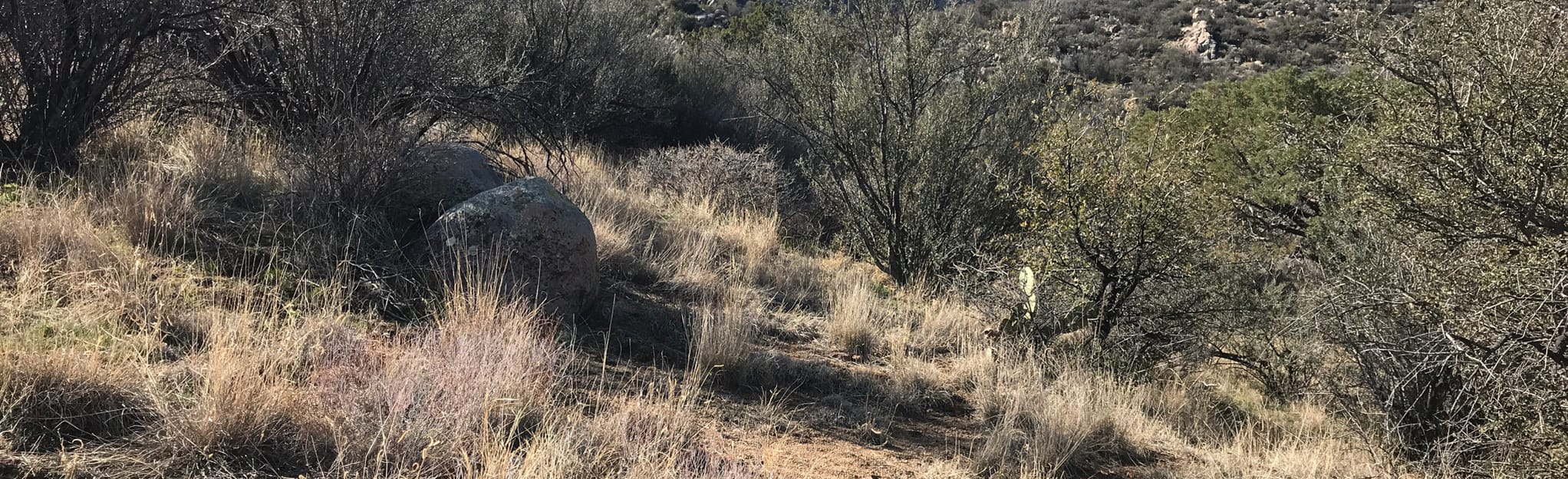 AllTrails | Indian Hollo and Pine Tree Loop Trail: 36 Reviews, Map ...