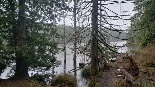 Best Hikes and Trails in Nanoose | AllTrails