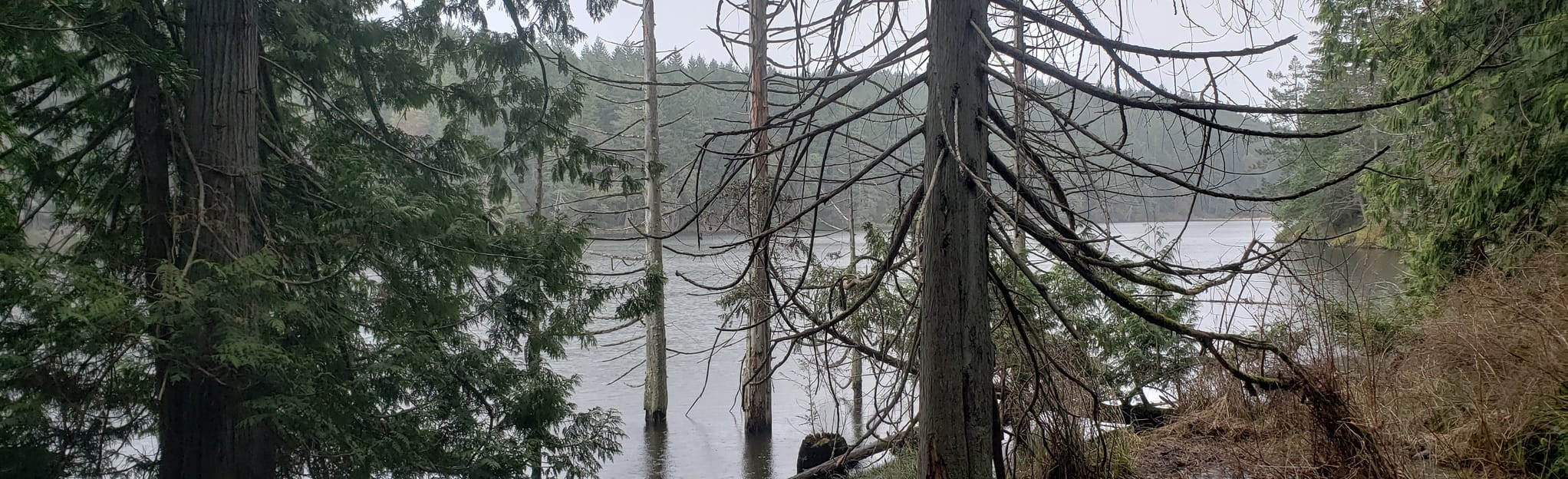 Enos Lake Short Loop: 197 Reviews, Map - British Columbia, Canada ...