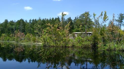 Best Hikes and Trails in Penn State Forest | AllTrails