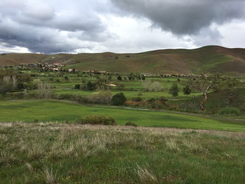 Best Hikes and Trails in Callippe Preserve | AllTrails