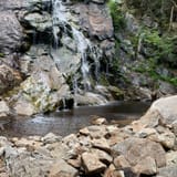 Nancy Pond, New Hampshire - 47 Reviews, Map | AllTrails