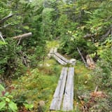 Nancy Pond, New Hampshire - 47 Reviews, Map | AllTrails
