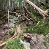 Nancy Pond, New Hampshire - 47 Reviews, Map | AllTrails