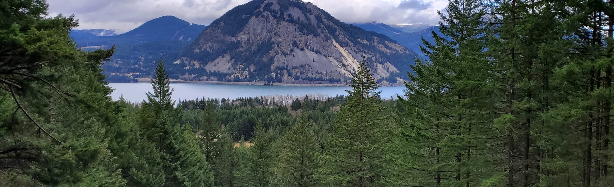 Herman Creek to Wyeth Traverse, Oregon - 78 Reviews, Map | AllTrails