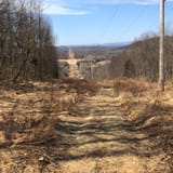 Pequest Wildlife Management Area Trails, New Jersey - 64 Reviews, Map ...