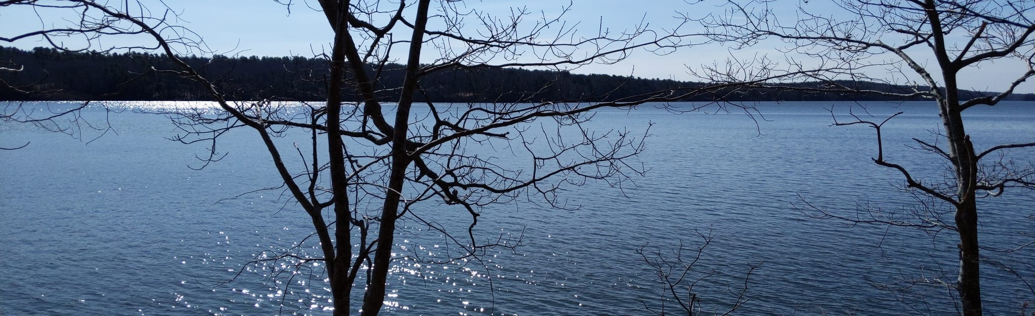 Eaton Farm Preserve South Loop, Maine - 75 Reviews, Map | AllTrails