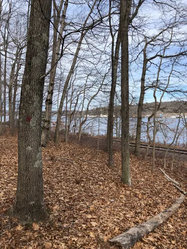 2023 Best Forest Trails in Quaker Hill | AllTrails