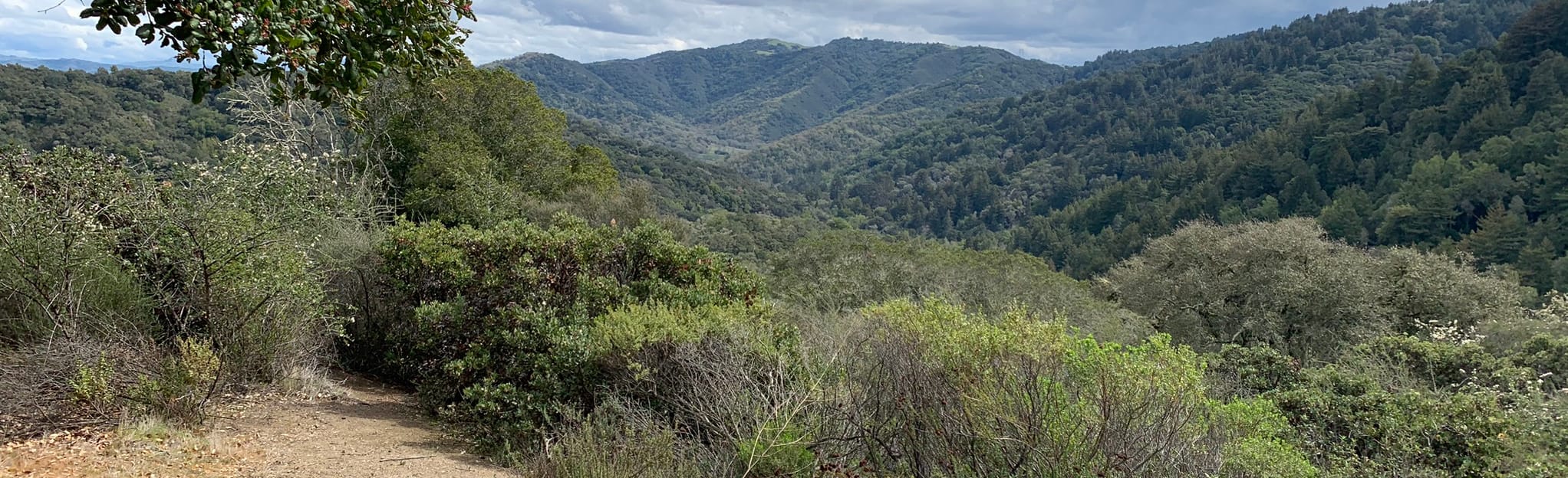 Ridge, Blackhawk and Sprig Trail Loop: 935 Reviews, Map - California ...