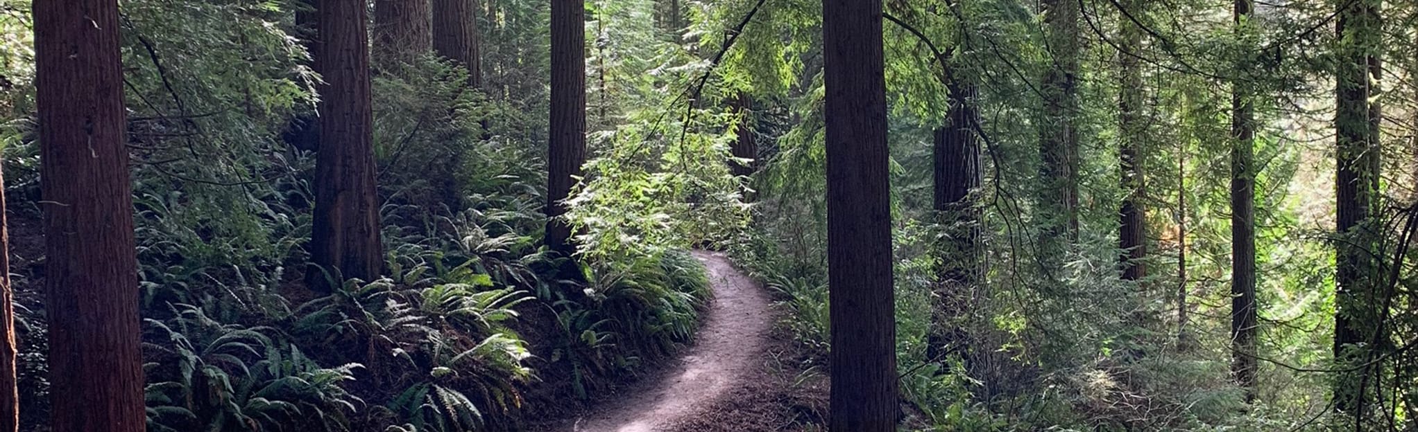 Redwood Trail - Barbara Walker Crossing, Oregon - 473 Reviews, Map ...
