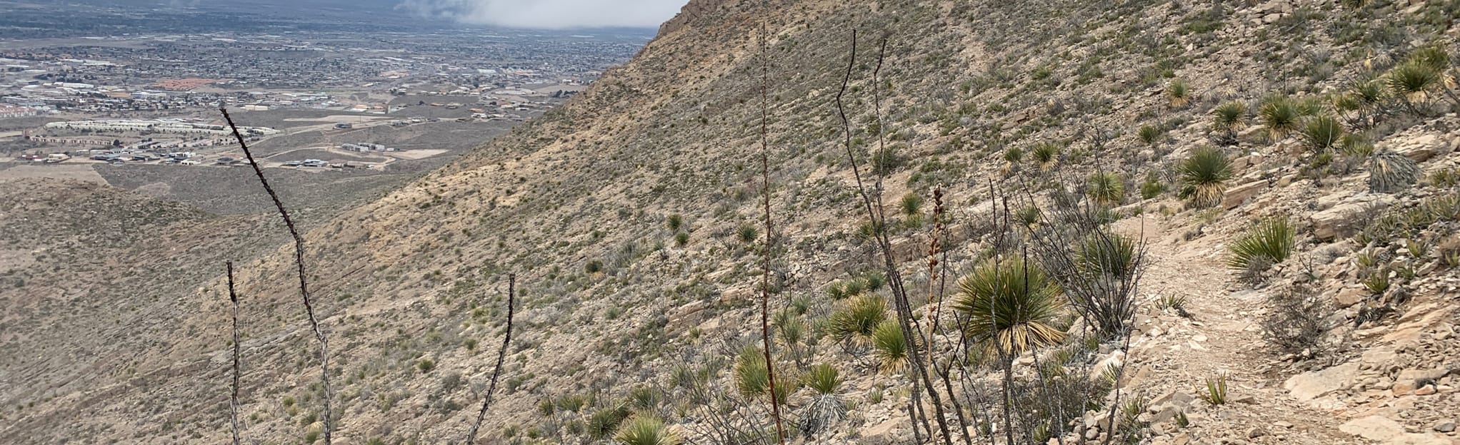Comanche Peak Loop Trail - Texas | AllTrails