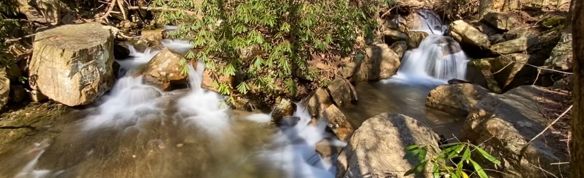 Gee Creek Falls Trail, Tennessee - 648 Reviews, Map | AllTrails
