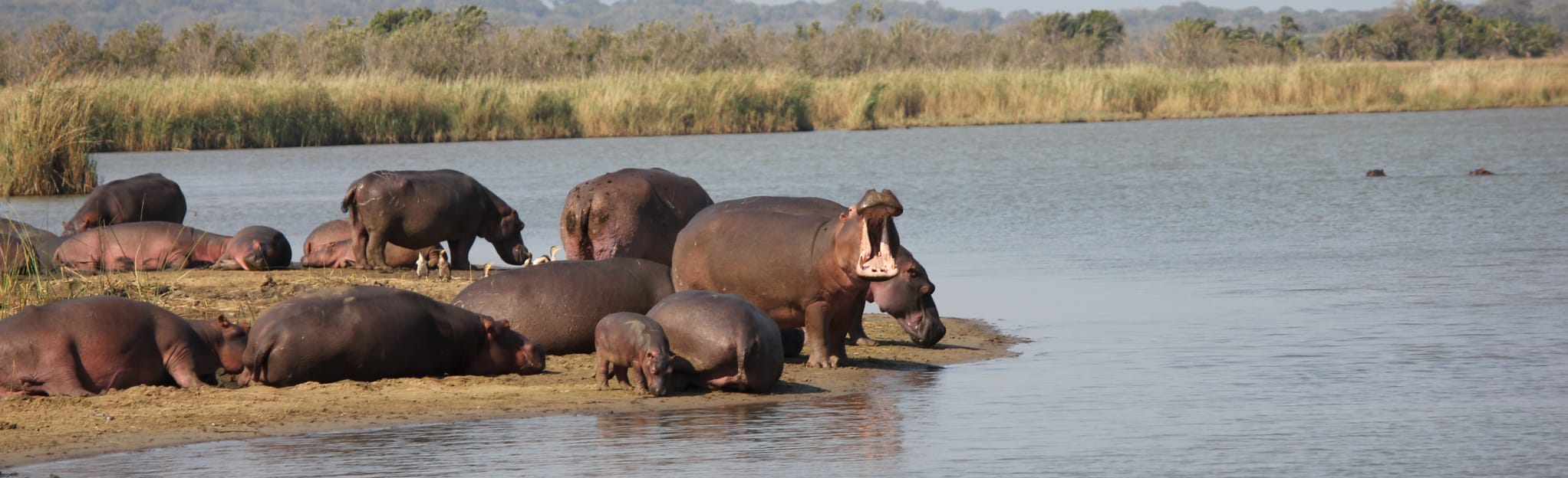 Hluhluwe River Walk, Kwazulu-Natal, South Africa - Map, Guide | AllTrails